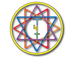 EIP Purple Positive Energy Plates & Discs